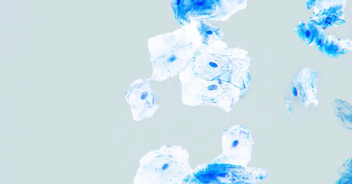 cci Launch | Corundum Convergence Institute